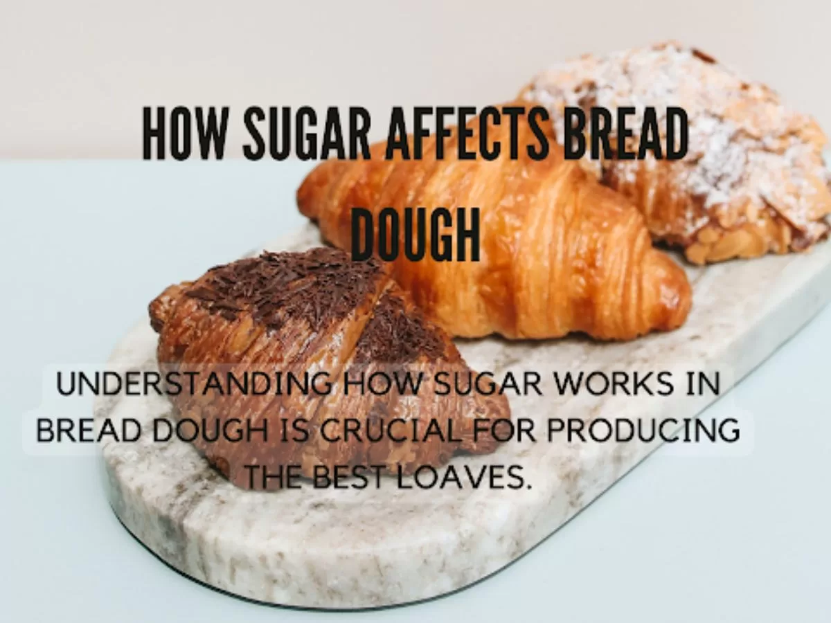 How Sugar Affects Bread Dough - TheHomeCookBible