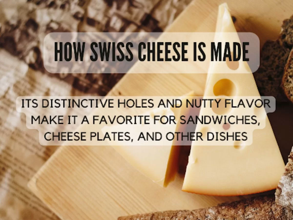 How Swiss Cheese is Made - TheHomeCookBible